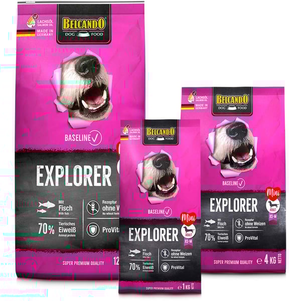 Belcando Baseline Explorer