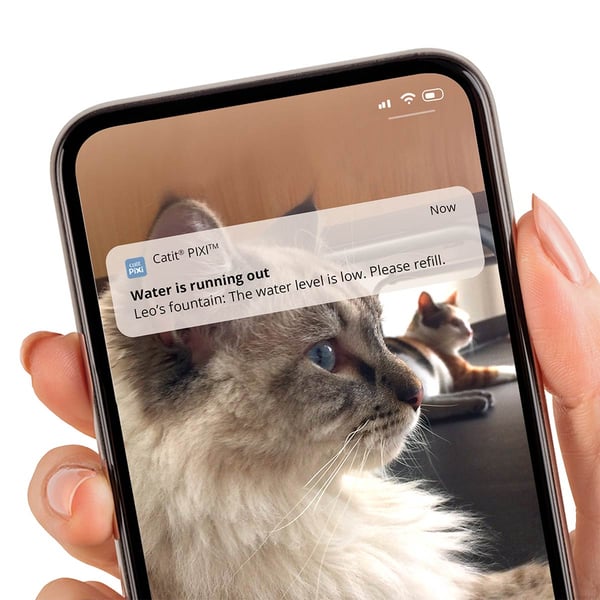 Catit Pixi Smart fontána